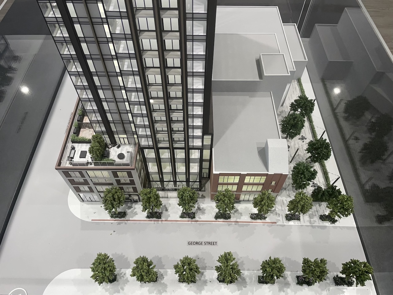 Alterra and DiamondCorp's Celeste Condominiums Coming to Downtown ...